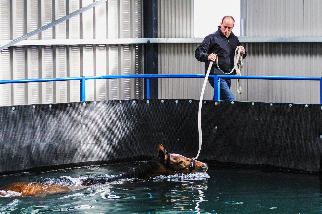 Gordon Elliott Racing