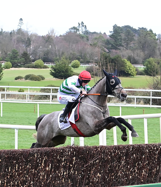 Gordon Elliott Racing